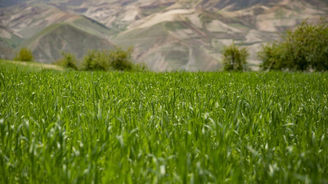 When mountains fall: how Afghans are dealing with climate change ...