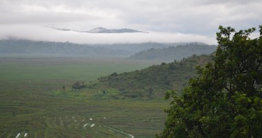 Rwanda | Concern Worldwide