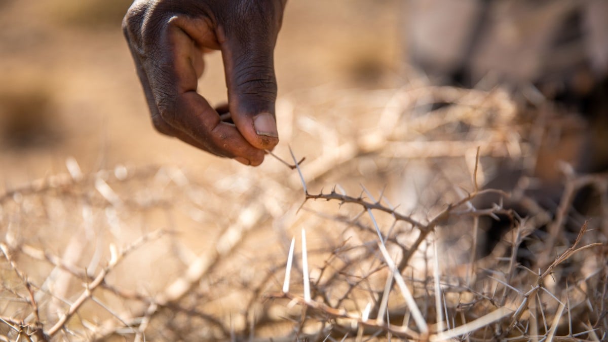 Climate and environment | Concern Worldwide