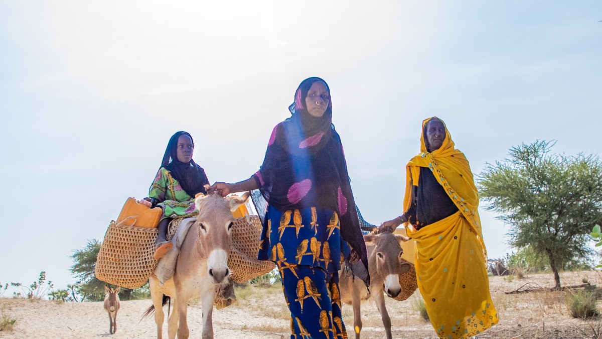 Explainer: Five ways climate change hits women the hardest | Concern ...