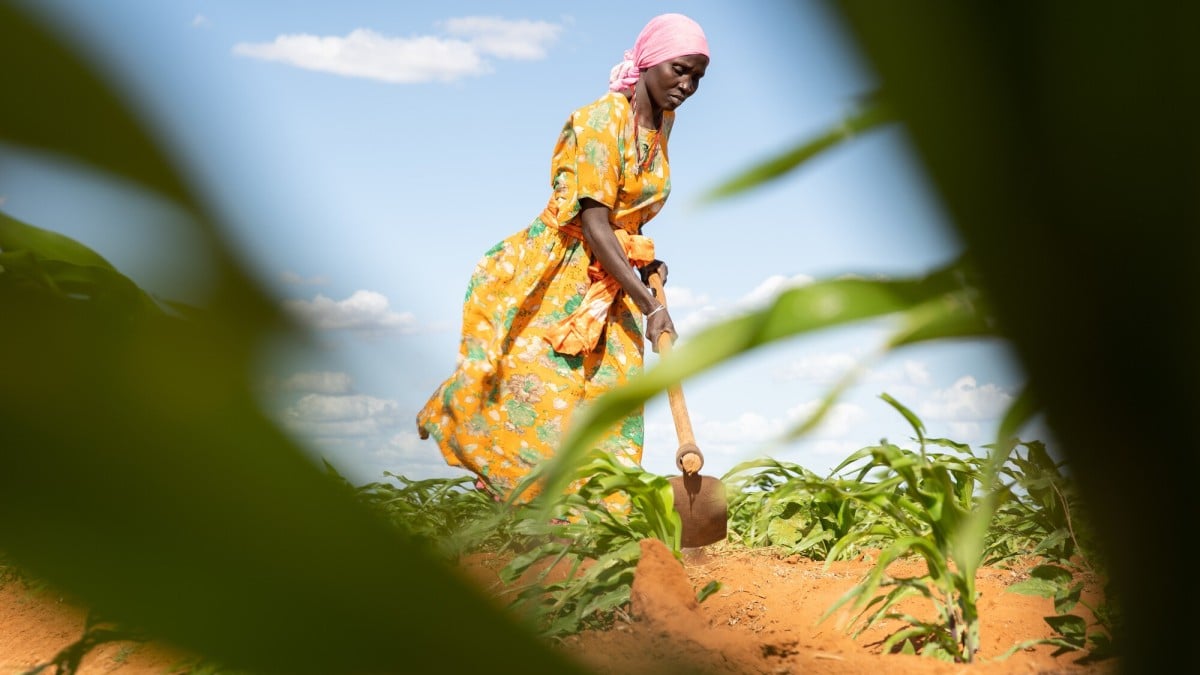 The remarkable resilience of people living in East Africa | Concern ...