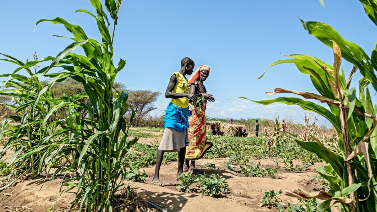Fighting back against drought with climate smart agriculture | Concern ...