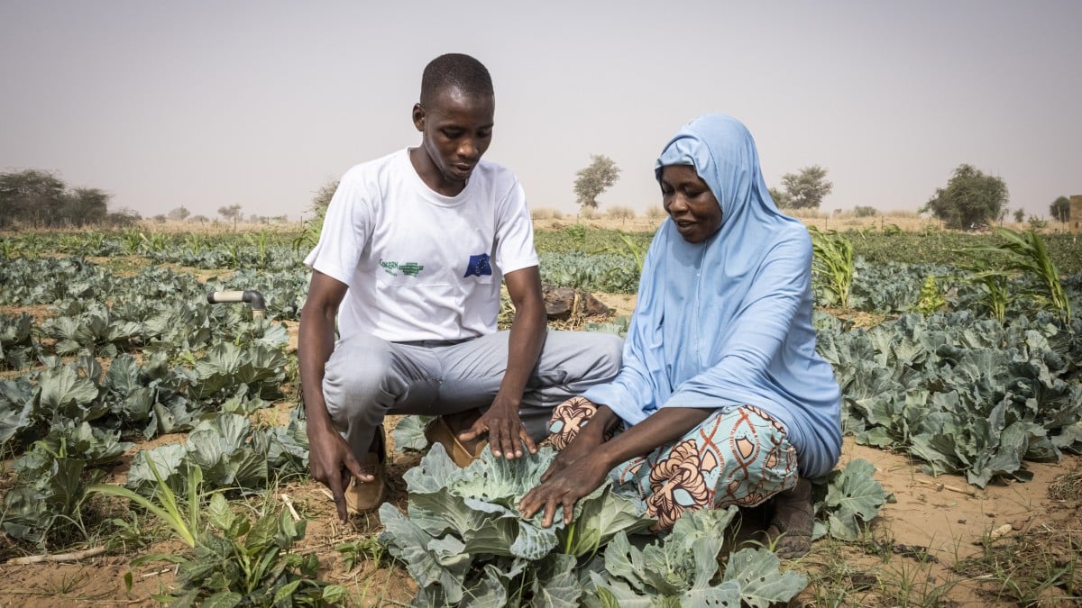Niger | Concern Worldwide
