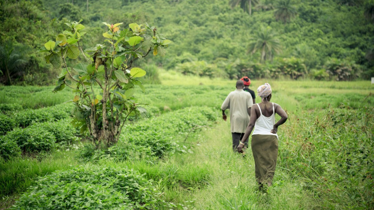 Building Resilience and Community Engagement project in Sierra Leone ...