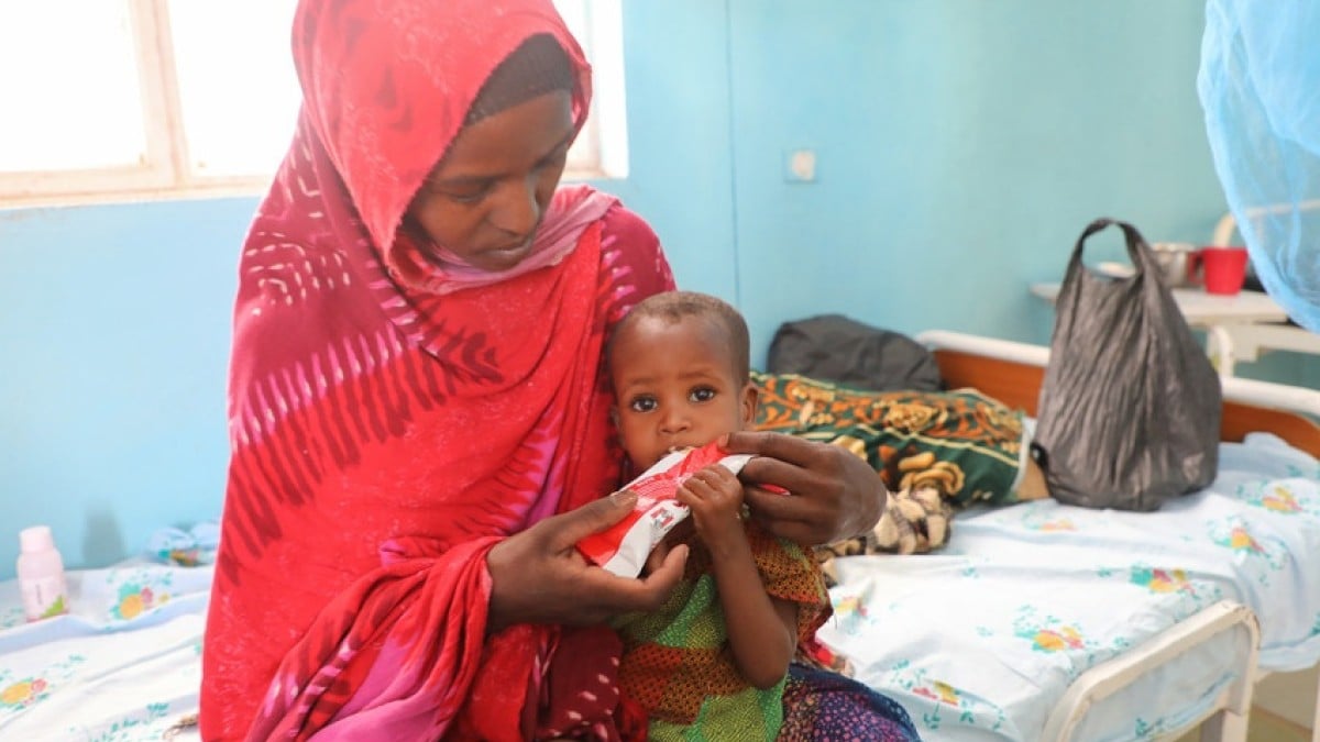 World Food Day: the challenges and solutions to forced migration and ...