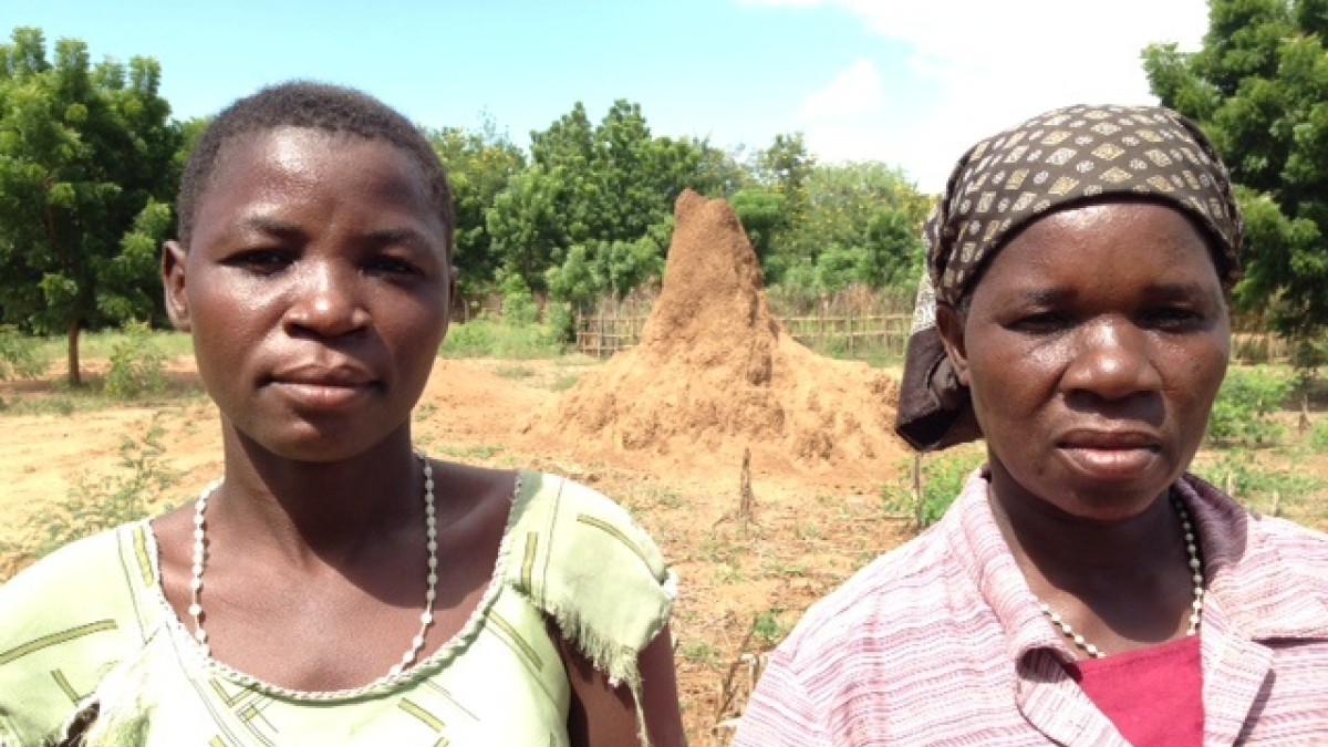 Hunger in Malawi: “The biggest crisis in a generation” | Concern Worldwide
