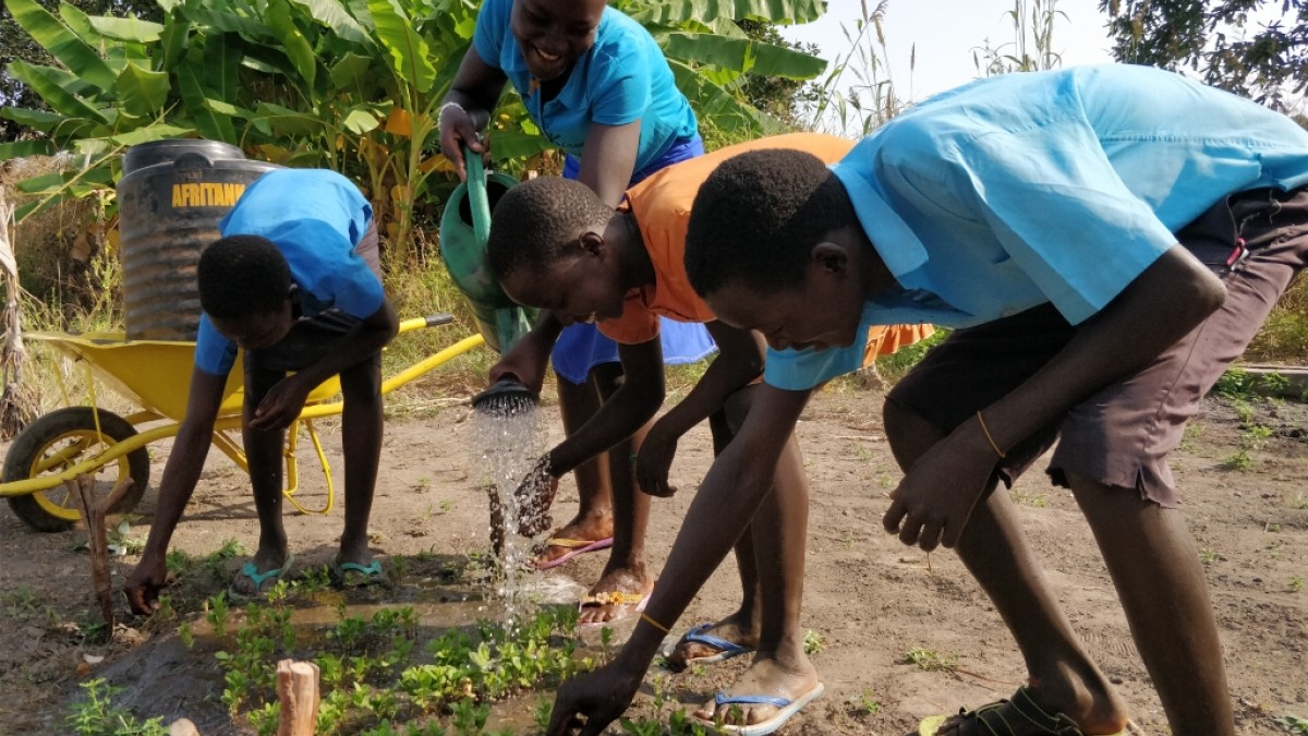 Knowledge Matters – Improving resilience in South Sudan | Concern Worldwide